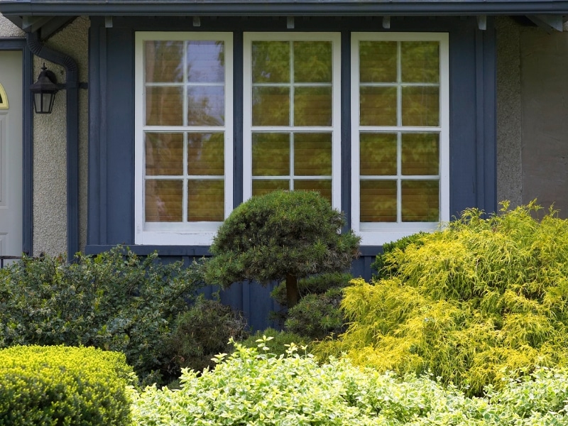 Which uPVC French Window Designs Are Trending This Year?